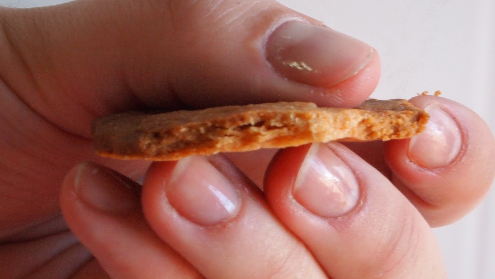 Galletas de vainilla con relieve ~ Andreíta come de todo