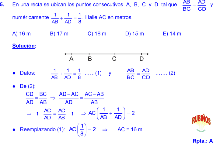 Segmentos problemas resueltos