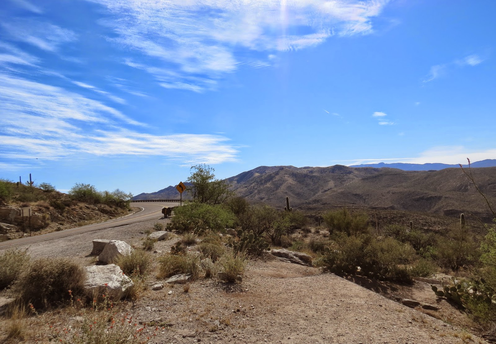 Where's Liz? 2014: Sky Island Scenic Byway, Mt. Lemmon, Tucson, AZ
