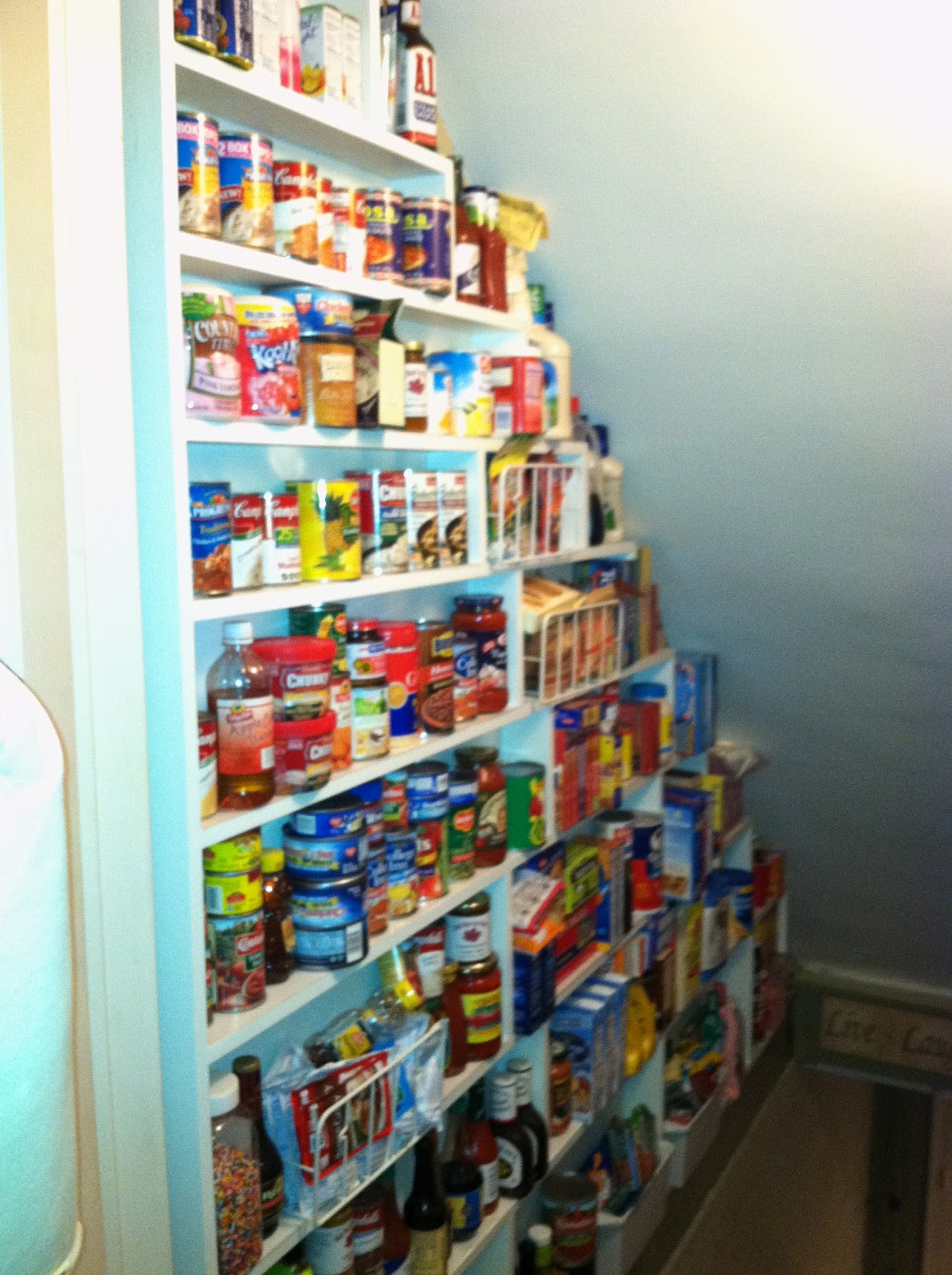 Simply Stephanie: Grocery Shopping...or hoarding?