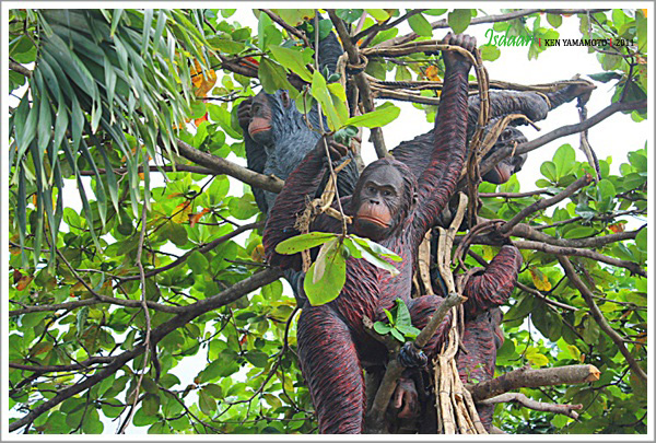 My Adventures: Satisfy Your Hunger and Sight on Isdaan Floating ...