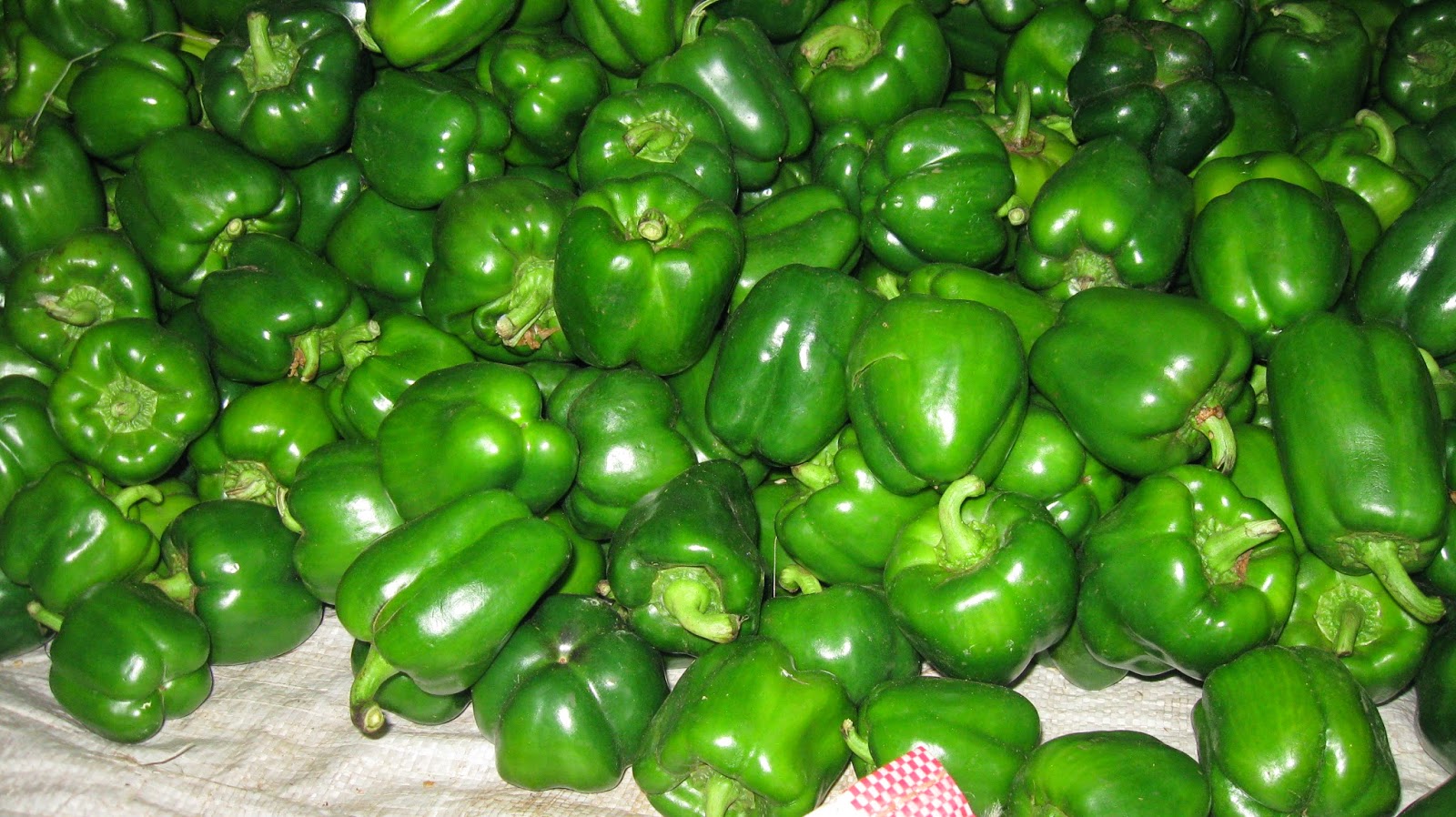 Kariakoo Market Corporation: Mazao ya Mbogamboga