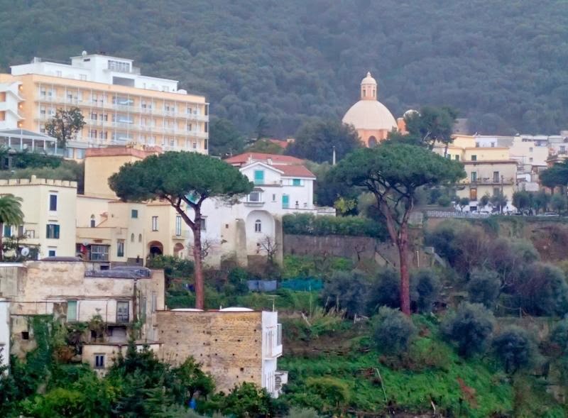 Vico Equense On Line: No al taglio dei pini secolari di Seiano: il ...