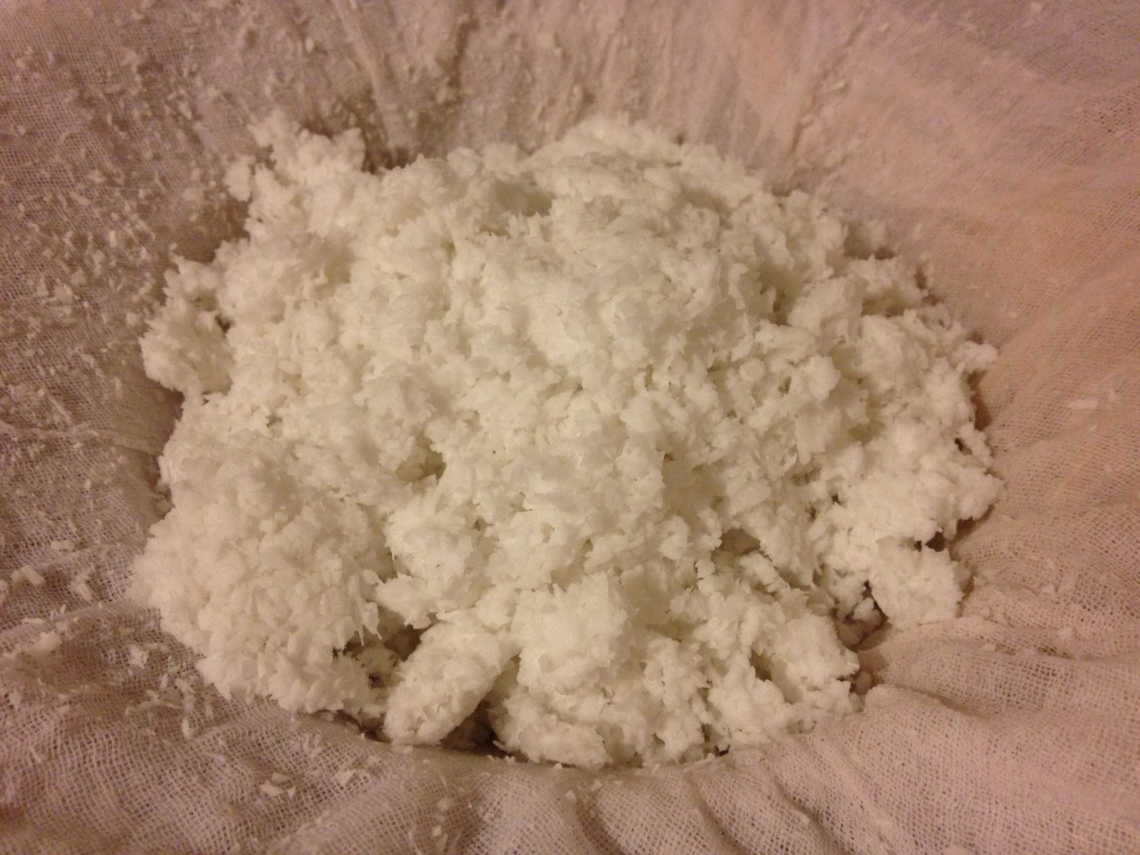 Homemade Coconut Milk from Fresh Coconuts (and Some Uses For It) | Nom ...