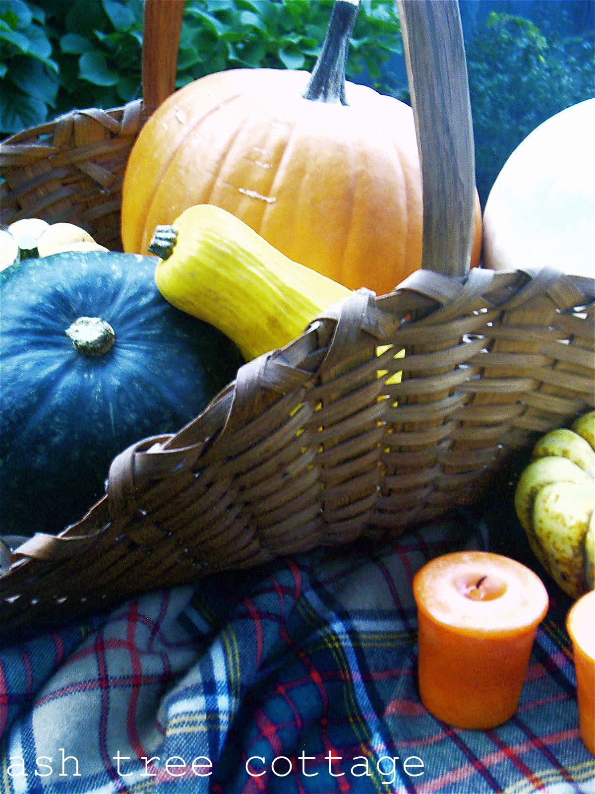 Ash Tree Cottage: The Cozy Days of Autumn