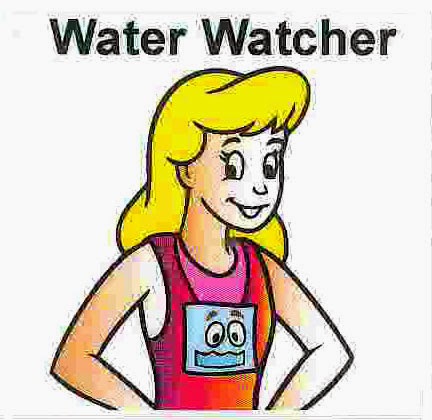 Safety Tips from Arizona Childproofers: DROWNING PREVENTION - WE NEED ...