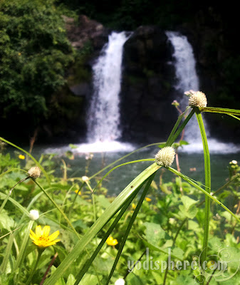 Bunga Falls » The Mysterious Face Behind the Twin Waterfalls ...