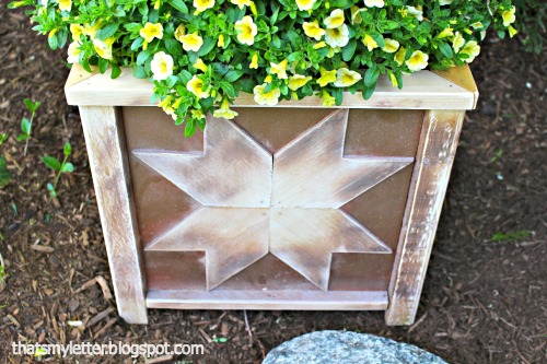 DIY Star Planter - Jaime Costiglio