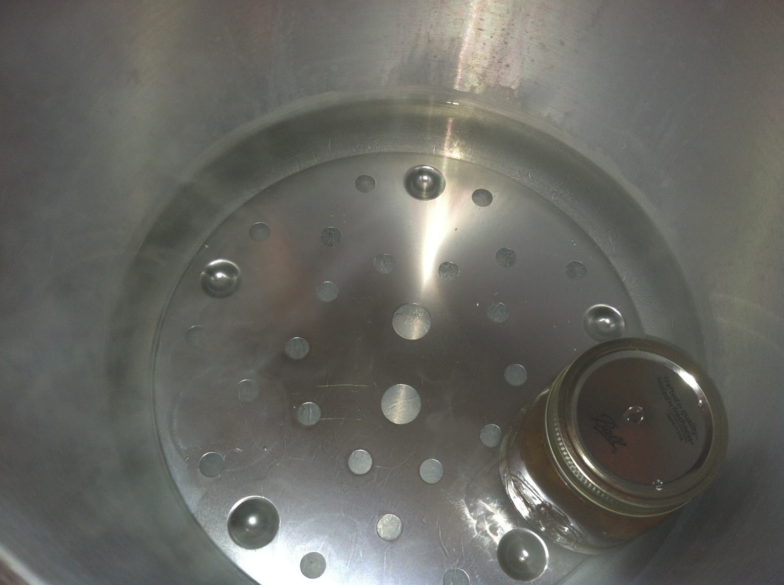 Adventures in Paleo Cooking: Paleo Canning - Gazinta Soup