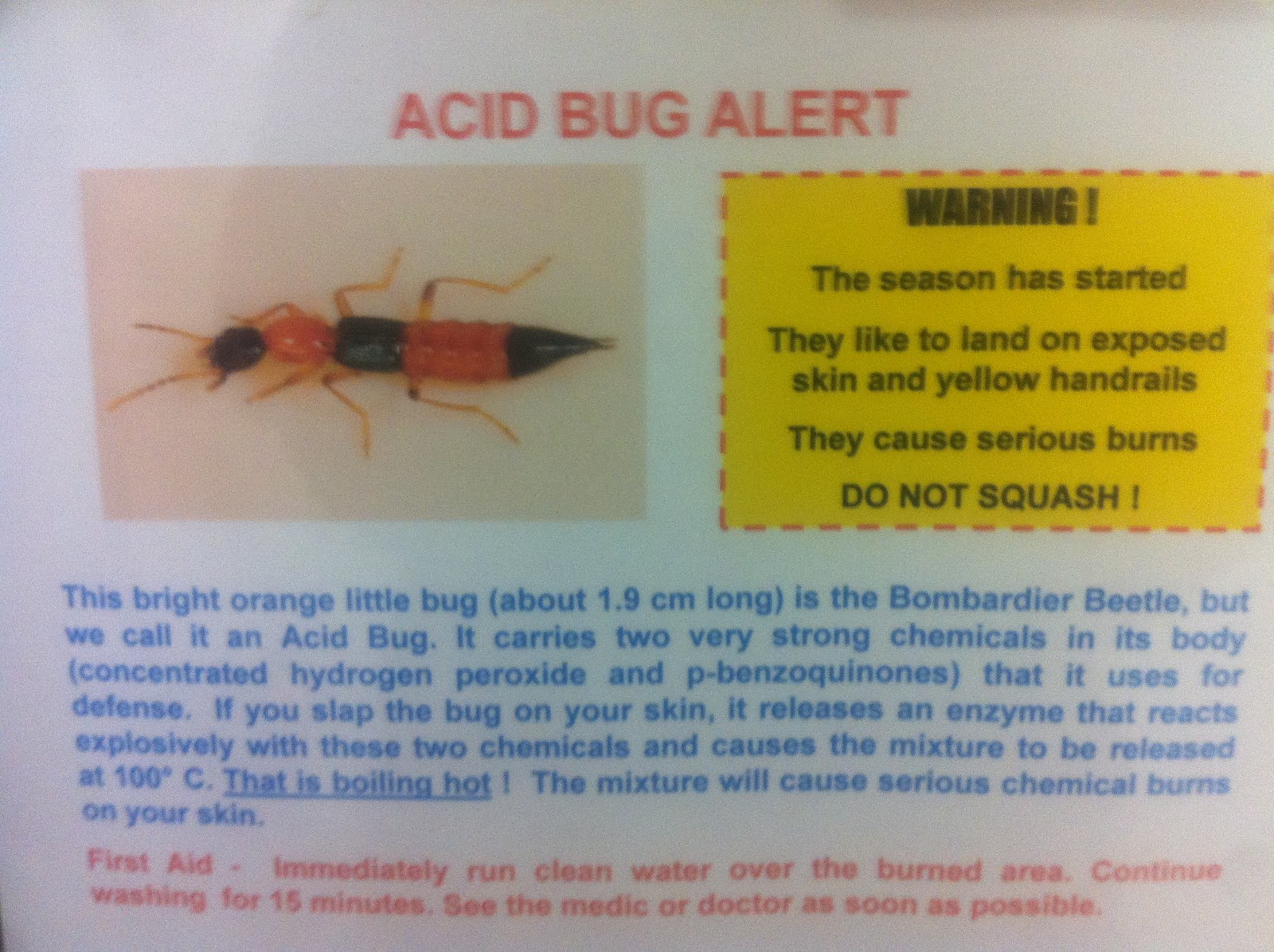 Lands Far Far Away: Offshore on the West Setia