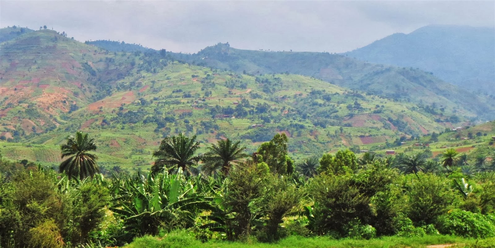 Bill's Excellent Adventures: Burundi