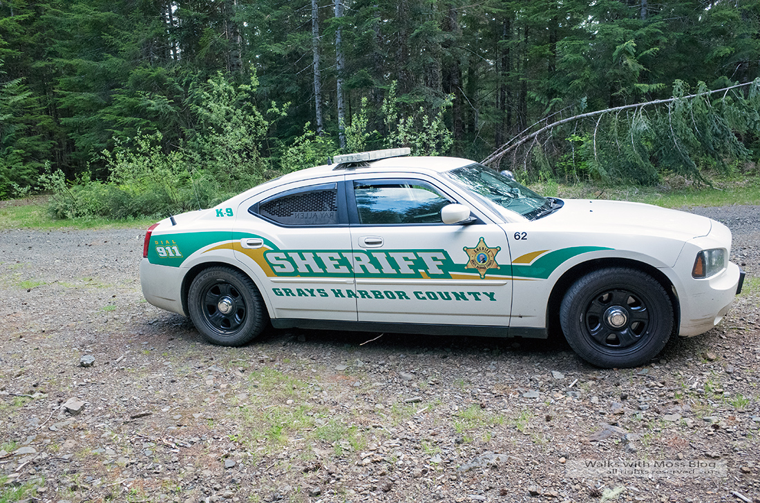 Walks with Moss: A truly horrible day at the Satsop Lakes