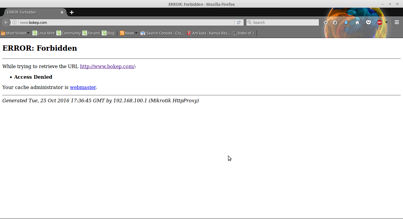 Blokir Situs Menggunakan Fitur WEB Proxy di MikroTik - NokenLab