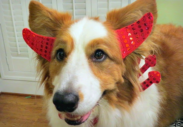 The Chronicles of Cardigan: Tacky Cardigan With Words on It: Divine ...