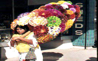 Leyendas de Tijuana: El Secreto de Cartolandia, sus Flores