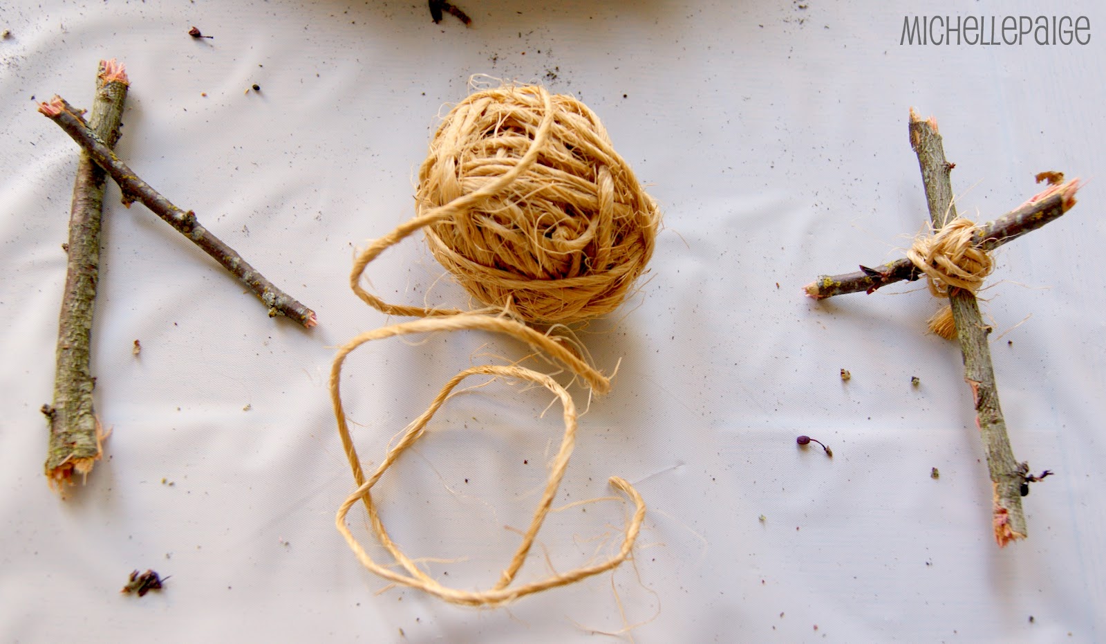 michelle paige blogs: Easter Garden and Grass Growing