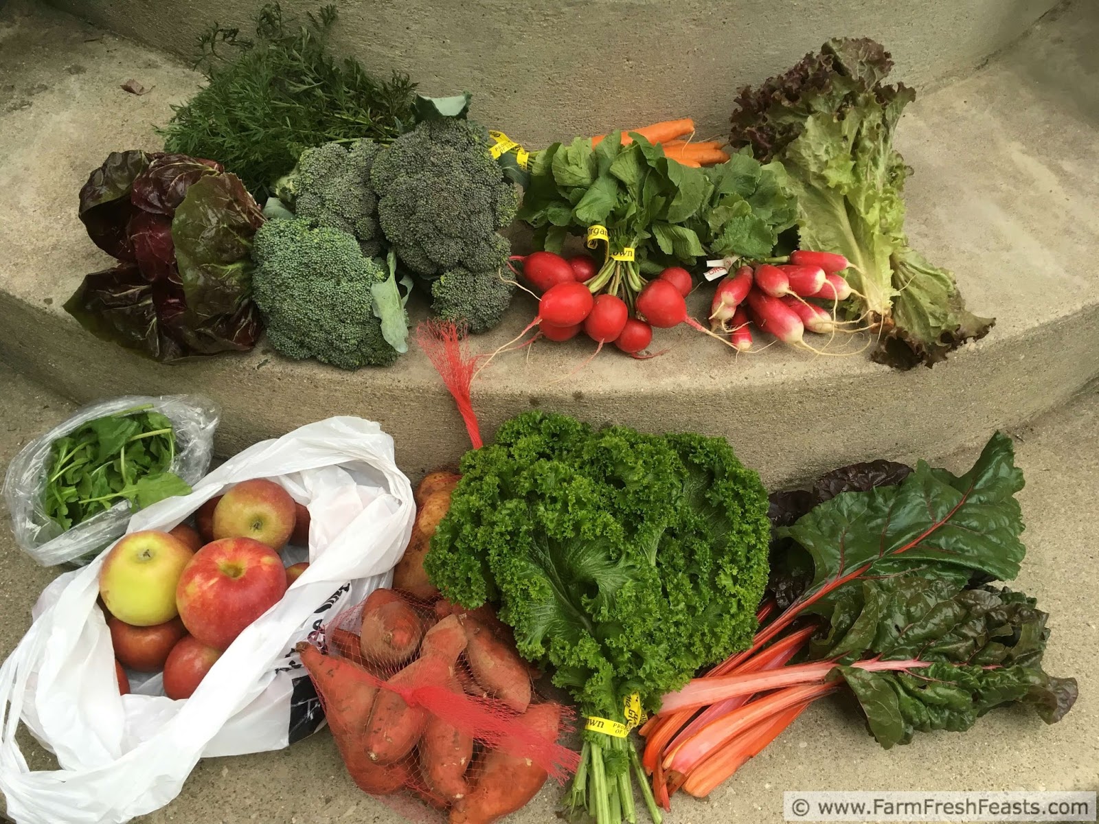 Farm Fresh Feasts: How to Eat Local This Year