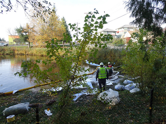 MEC&F Expert Engineers : La Mexicana, a Washington tortilla maker, pays ...