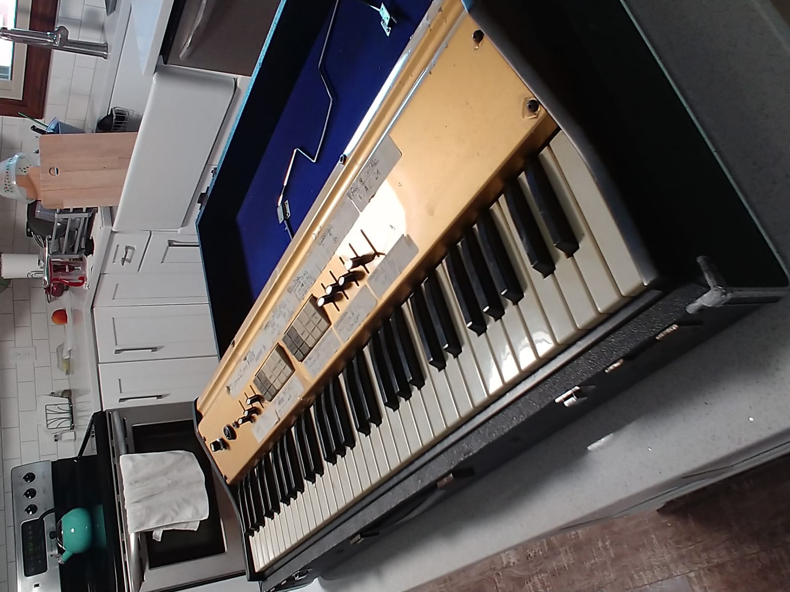 MATRIXSYNTH: Roland RS-202 1976 SN 571870 w/ Stripped Panel