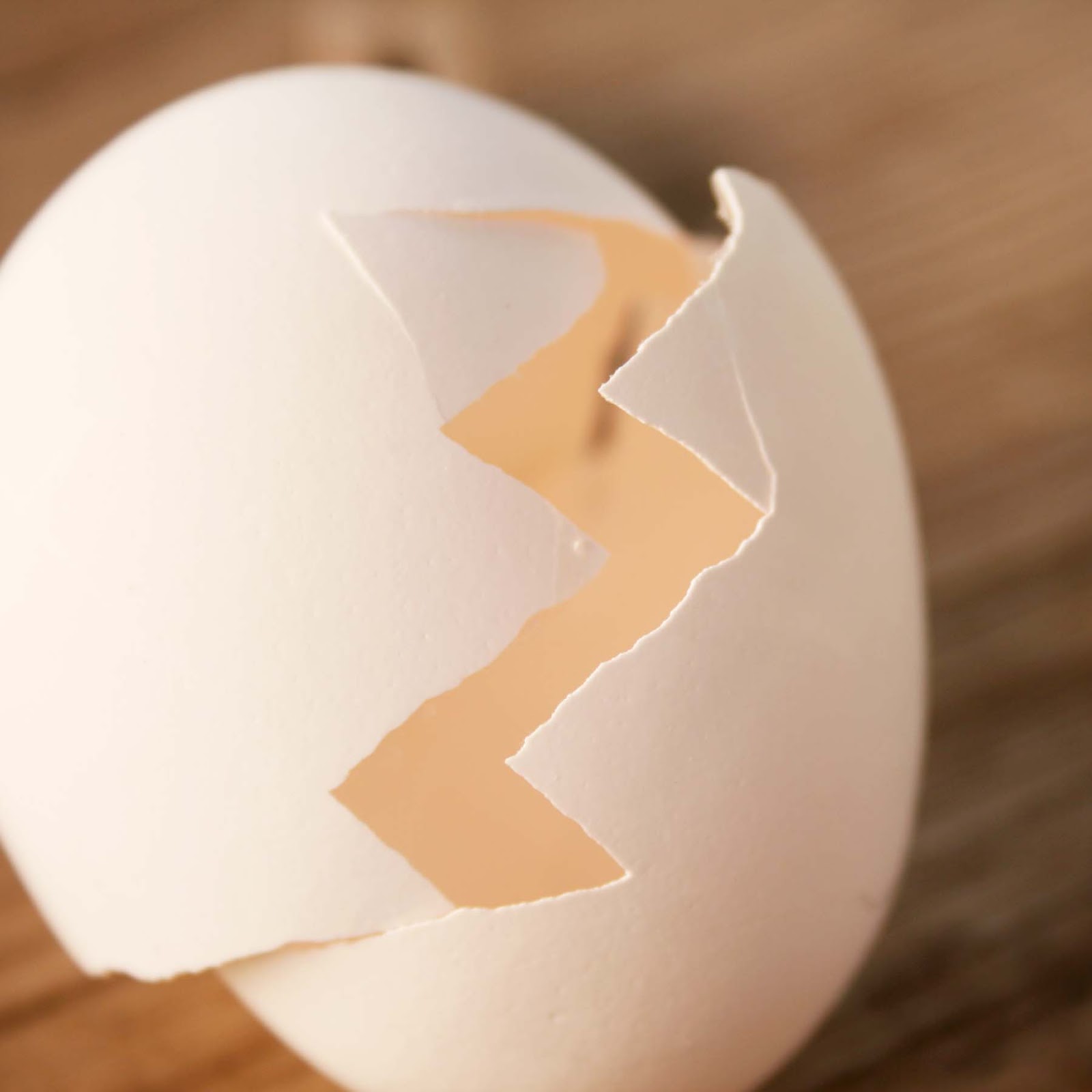 something made different: the cracked egg: live and untweezed