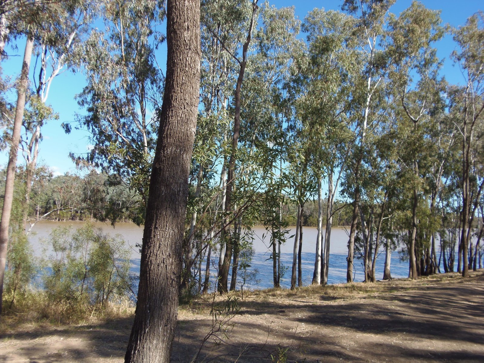 Solo Steve On The Road: GLEBE WEIR at TAROOM Qld