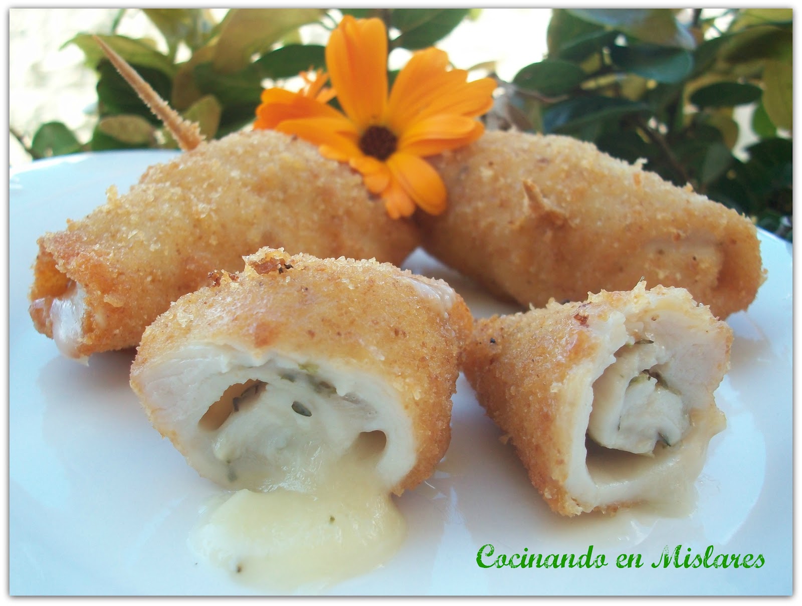 ROLLITOS DE POLLO CON PROVOLONE - Cocinando en Mislares