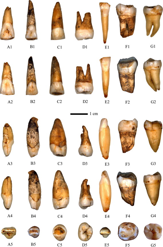 For what they were... we are: Homo sapiens was in China before 100,000 ...