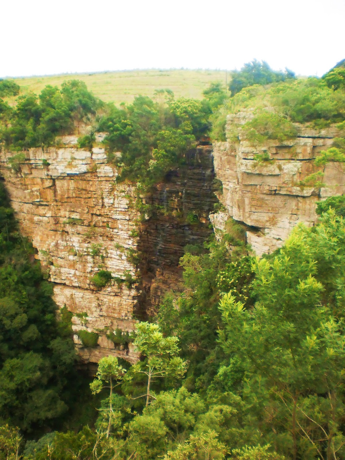 Robyn Holmyard: Printed Textiles Design