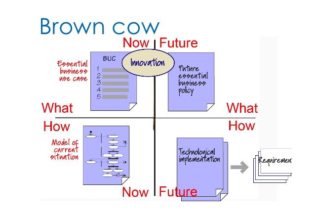 Business Requirements IBM: Brown cow model