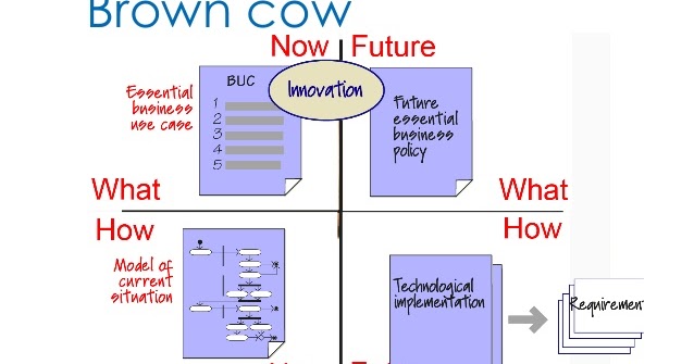 Business Requirements IBM: Brown cow model