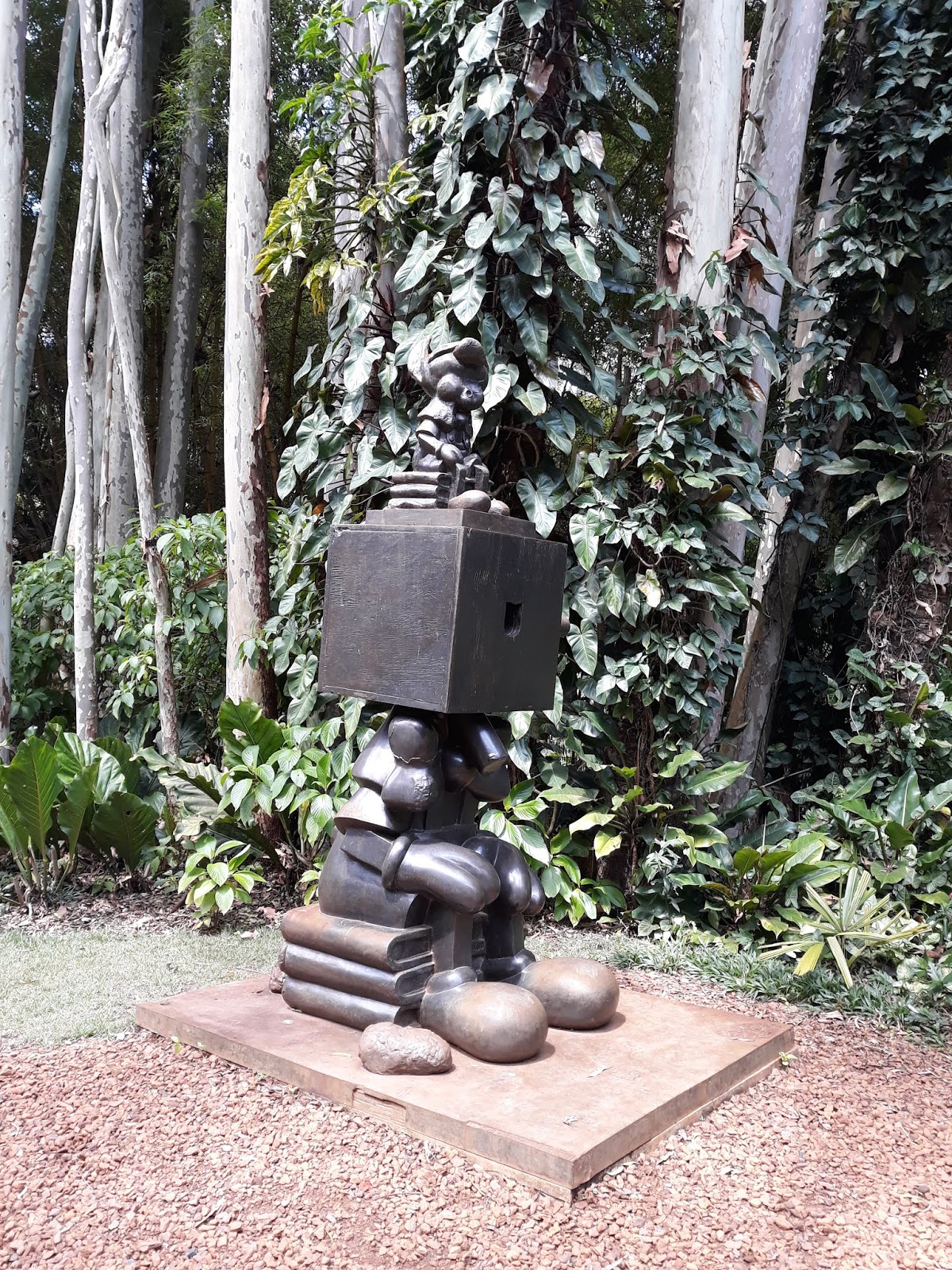 50 possibilidades: MINAS CONTEMPORÂNEA - INHOTIM ARTE E NATUREZA