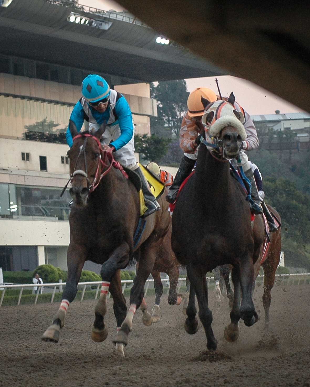 Rumbo a la Meta: Igor y Jala Jala salen como favoritos en el Hándicap ...