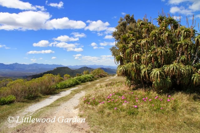 Littlewood Garden Lodge - Urlaub an der Gardenroute : Ausflug ins ...