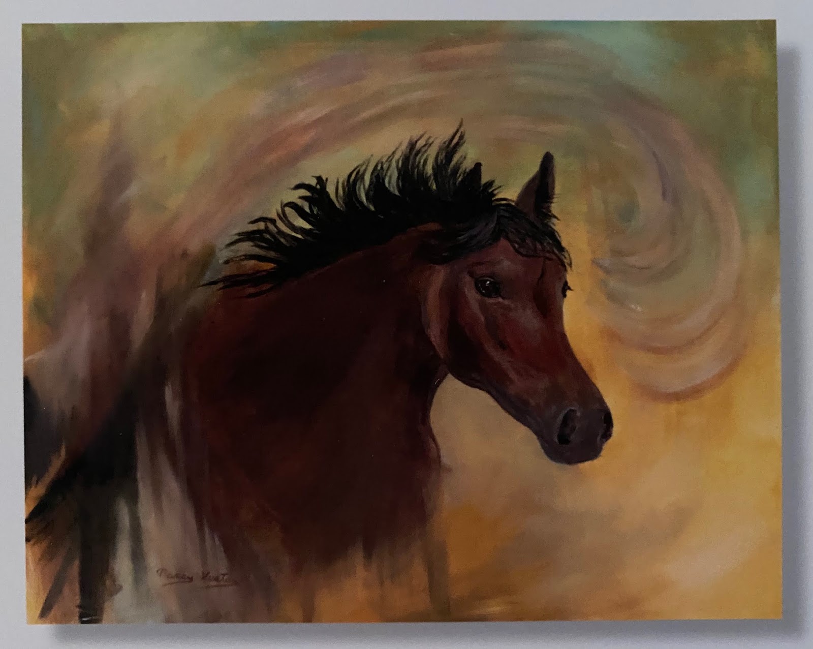 Robbie Davison Photography