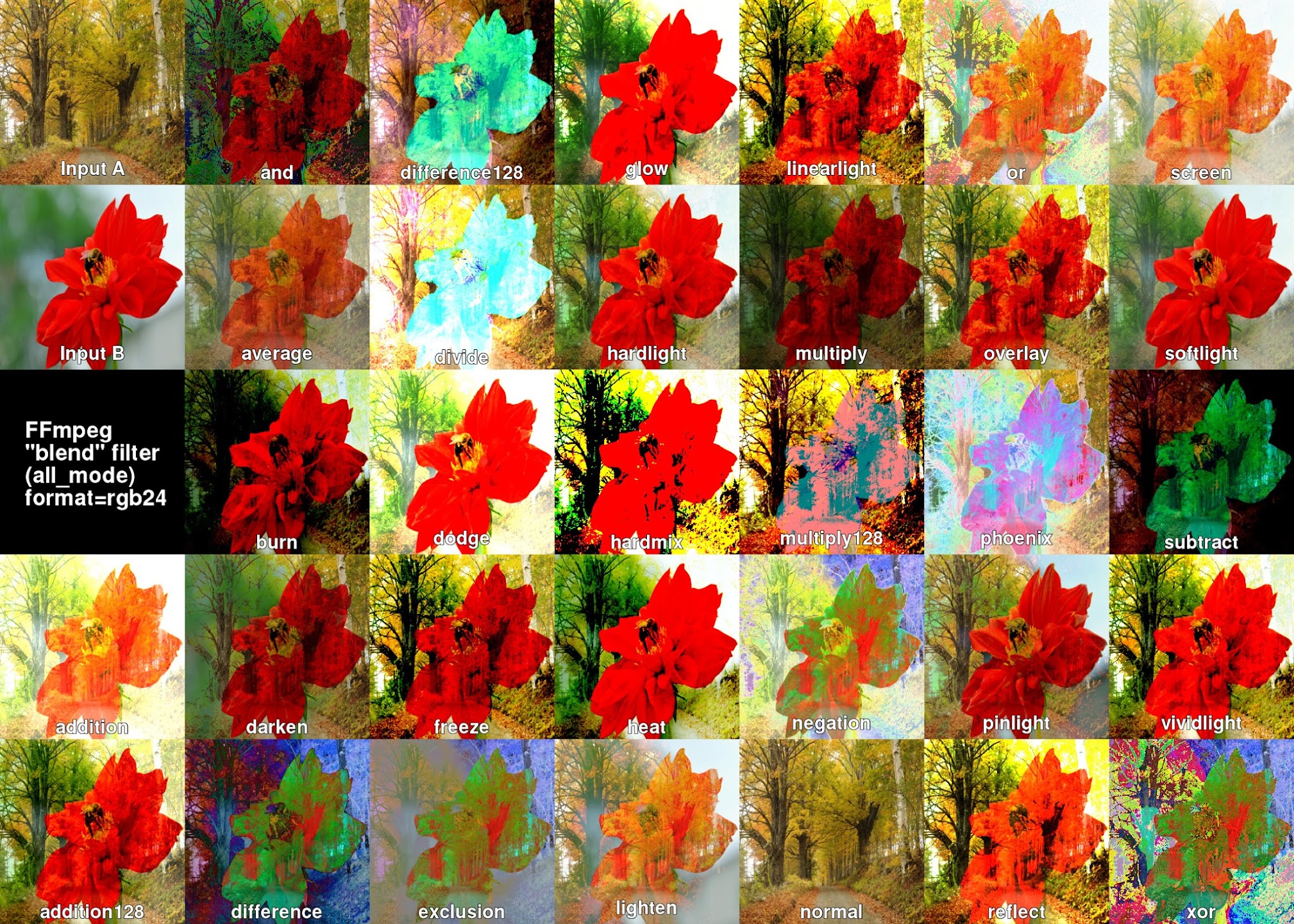 oioiiooixiii: FFmpeg: Generate an image of tiled results from all ... oioiiooixiii: FFmpeg: Generate an image of tiled results from all ...