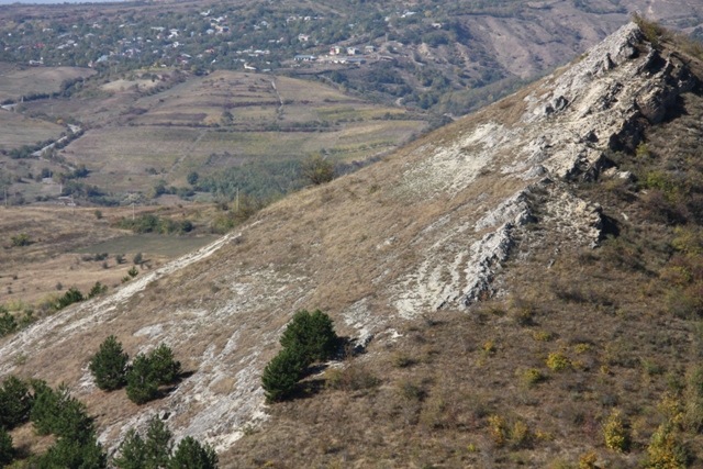 Situl Natura 2000 Stanca Tohani: Proiect pentru planul de management