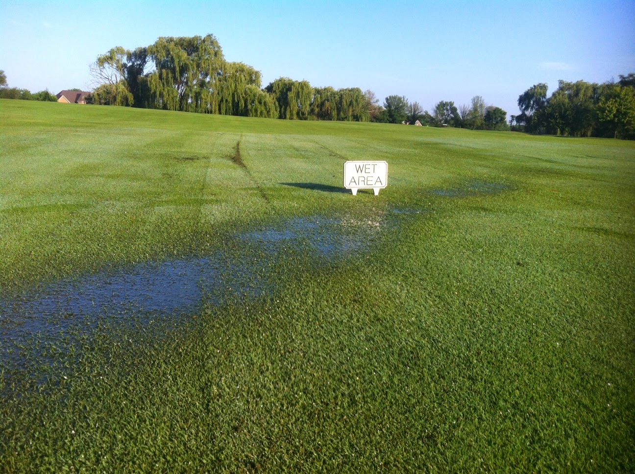 The World of Turf: Fixing black layer, irritation, and the sand is here