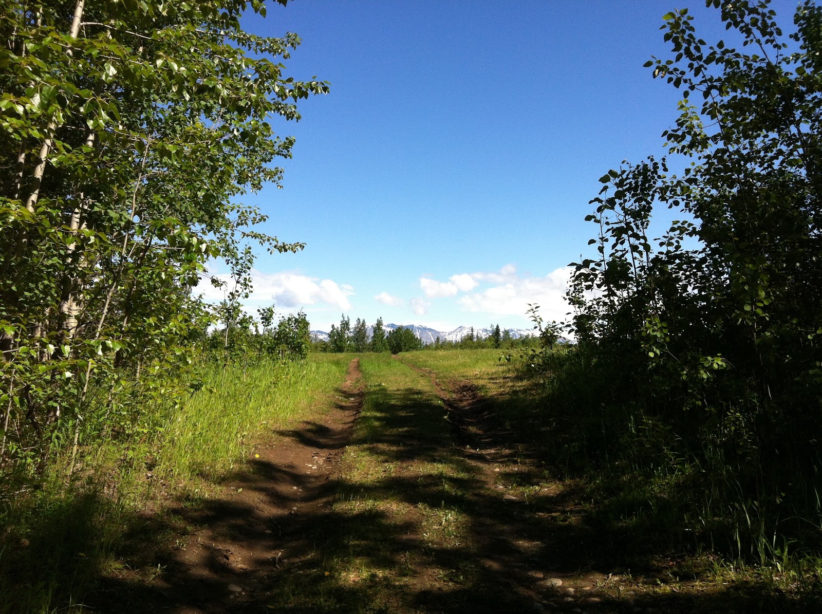AKStafford: Johnson Lake Loop
