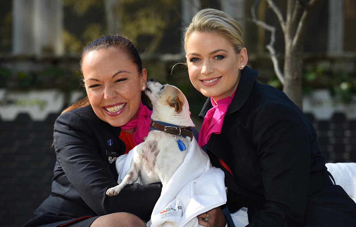Qantas Partners with Mad Paws pet minding service | Australian Dog Lover