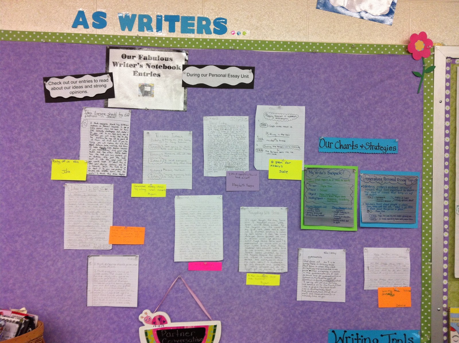 Two Reflective Teachers: Bulletin Boards and Charts