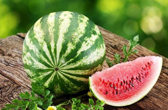 BUDIDAYA SEMANGKA (TIPS BUDIDAYA)