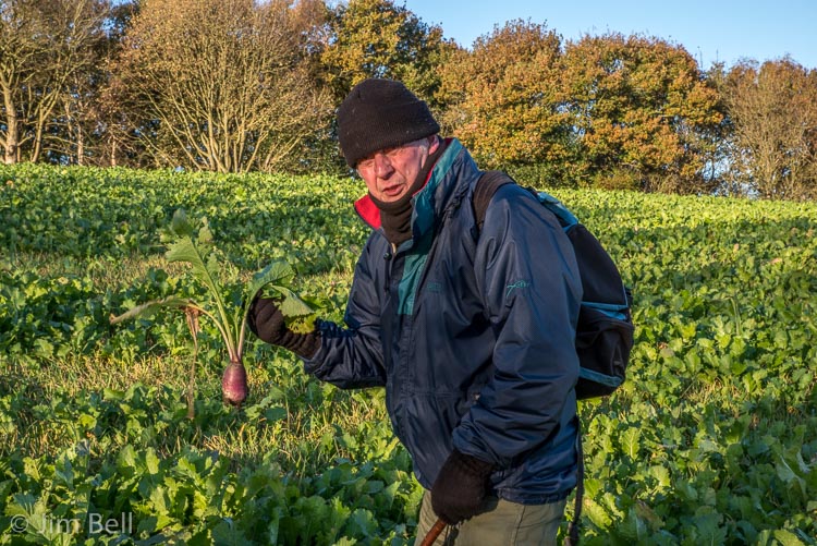 Out & About: Fritchley Windmill