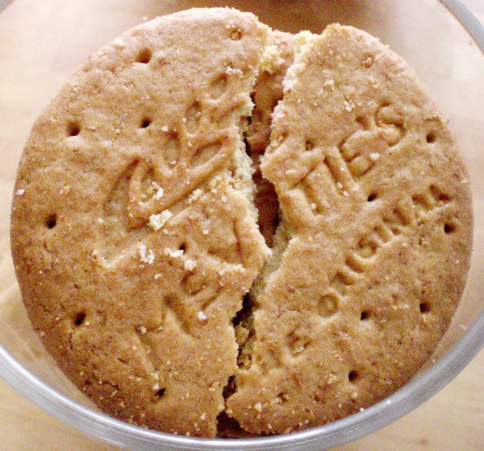 Can the Broken Find Love?