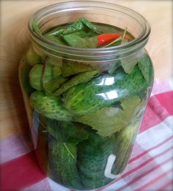 Värske hapukurk ehk malosolnõi - Aini kokaraamat