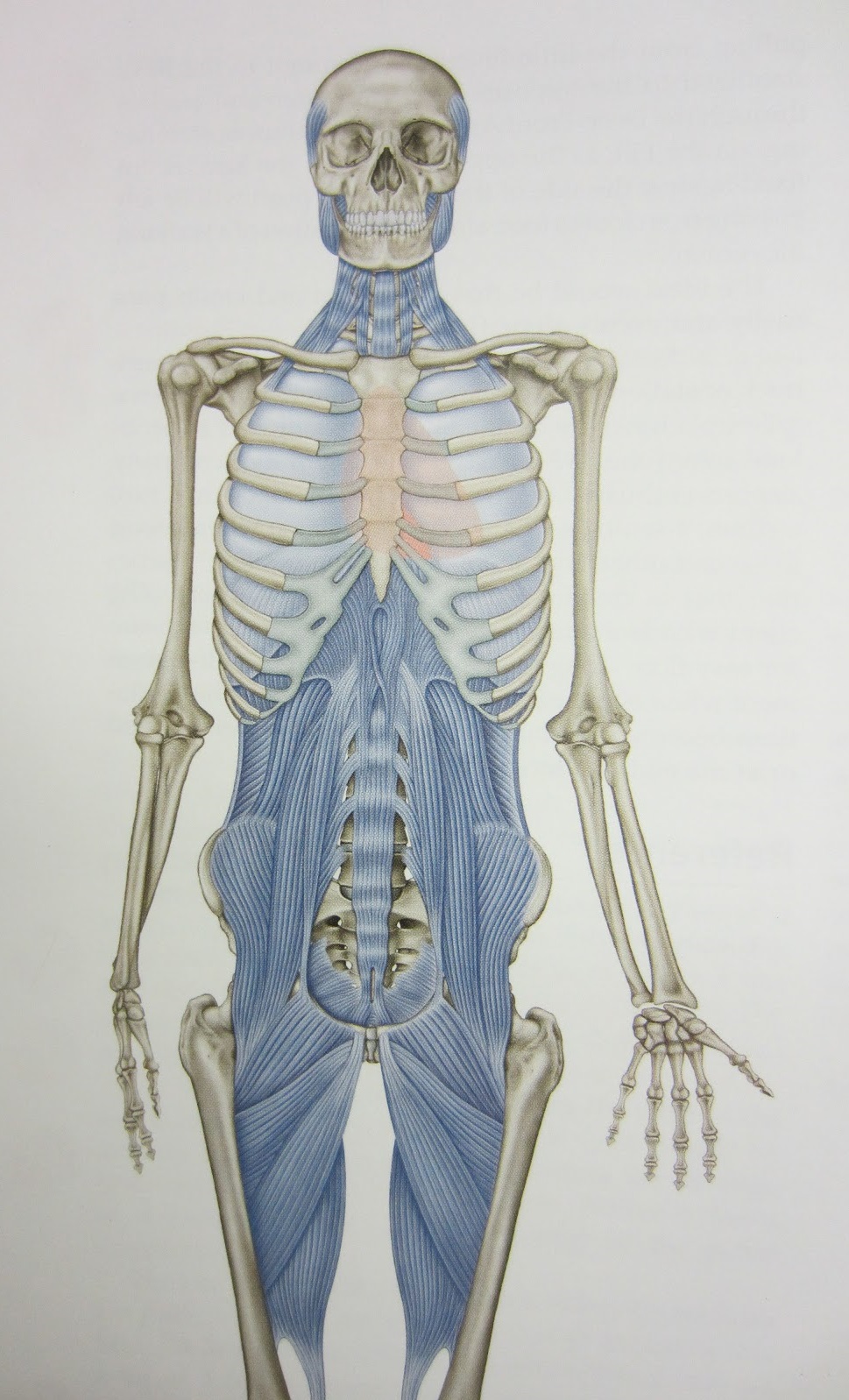 Integrated yoga therapy for swallowing difficulties (dysphagia) (case ...