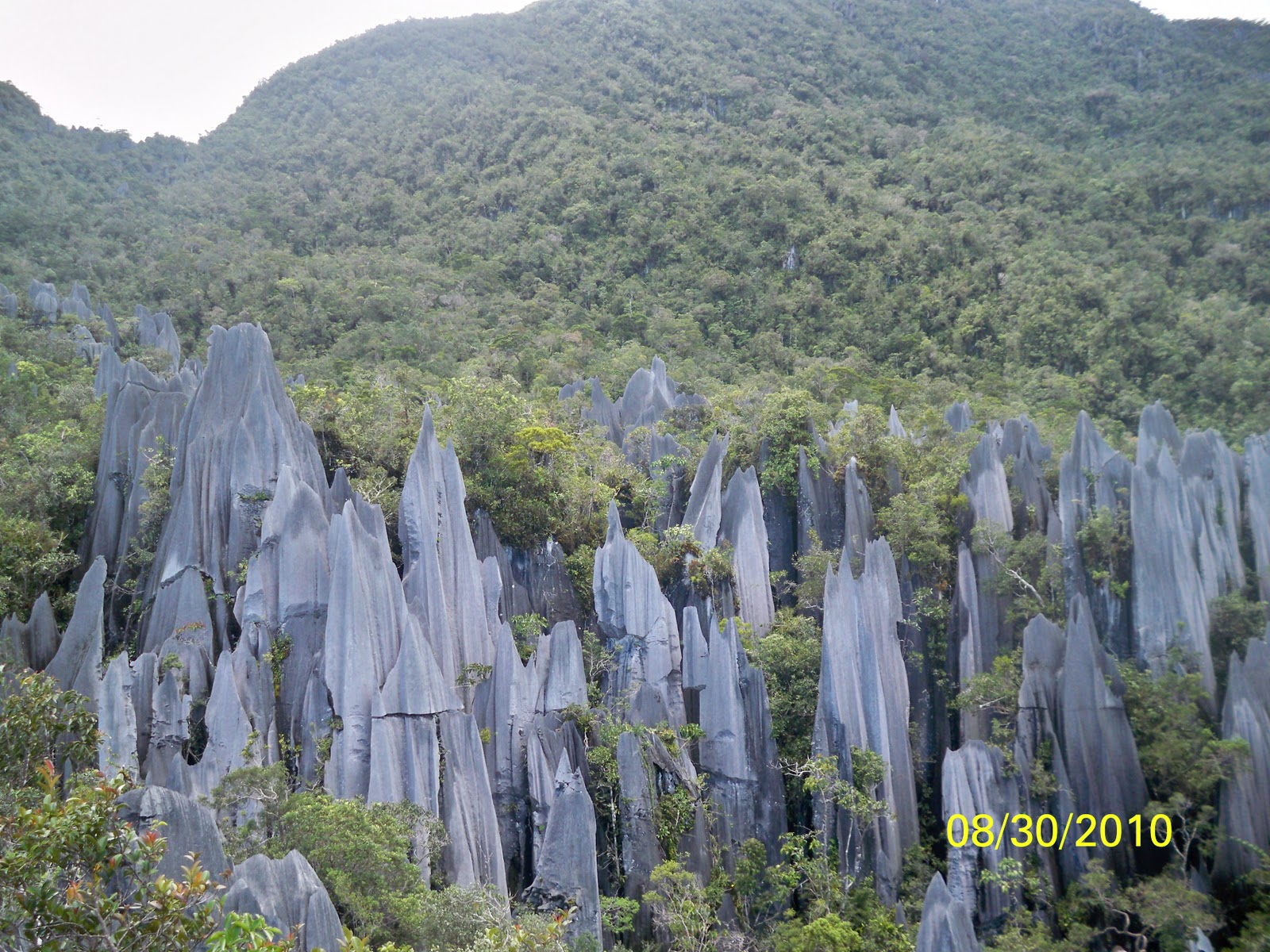 Hiking, Travel and Food!: Hiking up The Pinnacles - Gunung Api 1750m