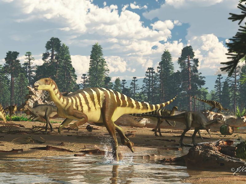 EL JOVE PALEONTÒLEG: Galleonosaurus dorisae, el cinquè Ornitòpode de ...