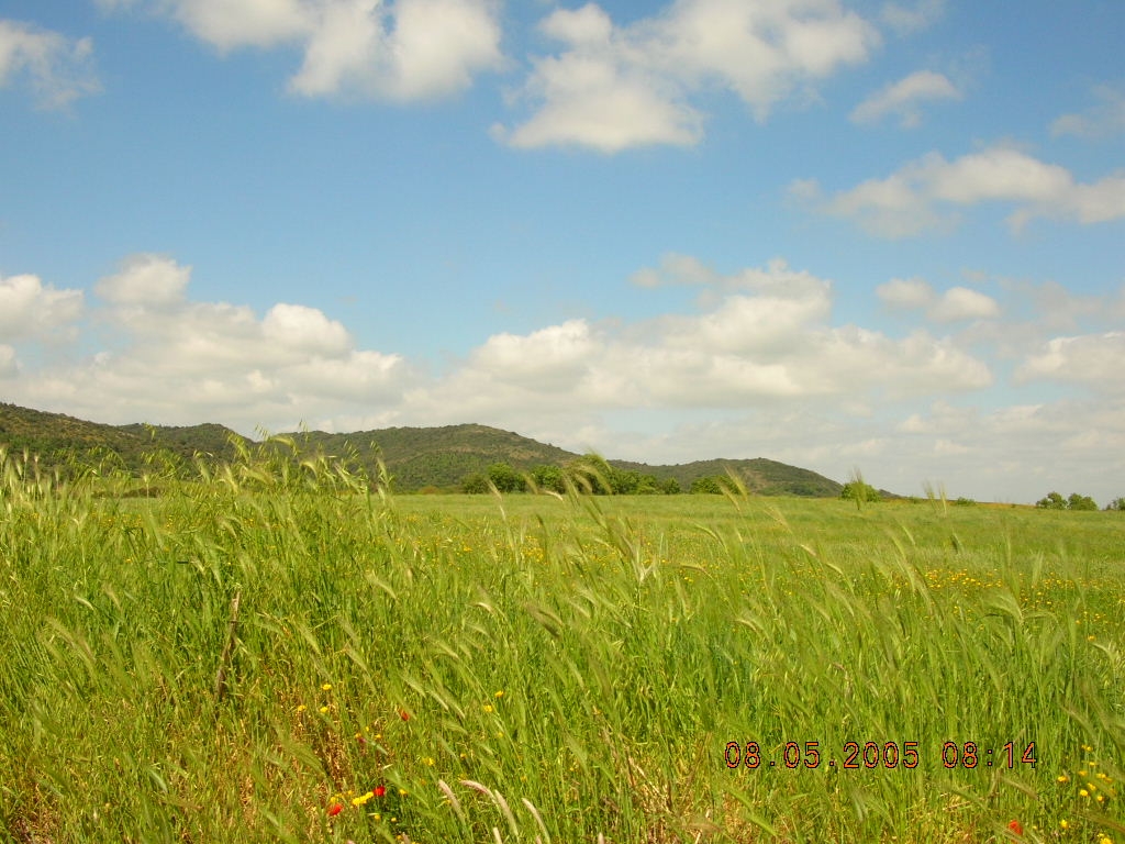 Italian Holiday: Tolfa