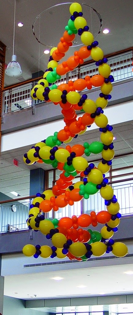 Balloons Booth: DNA helix made out of balloons