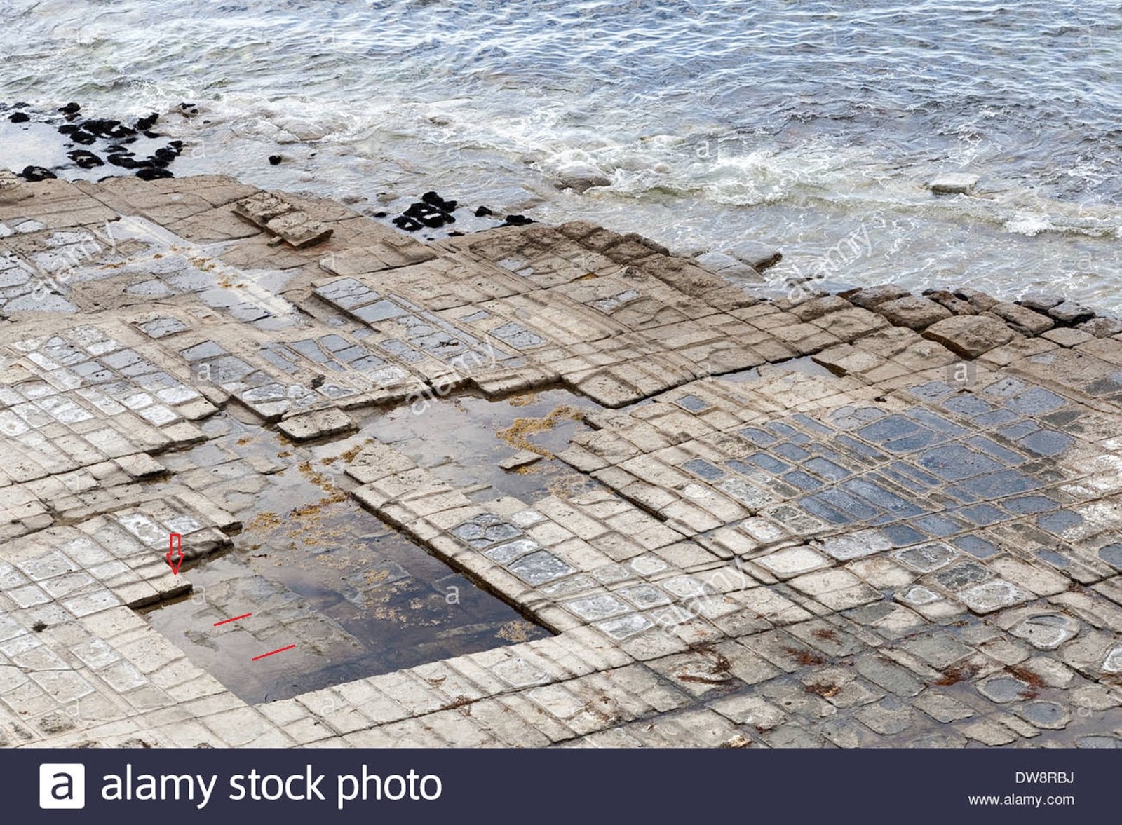 Man-Made Pavements Disprove Evolution. | Science and Technology ...